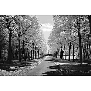 ArtDirect Sublime 10x7 UnFramed Art Print Poster Ready for Framing by Szilagyi, Ily