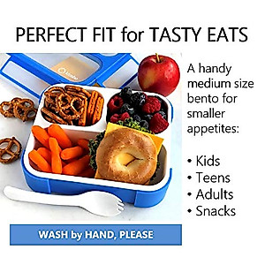 Bento Box for Kids, Toddler Lunch-Box for Small Boys Girls in School, Pre-School or Daycare, Leakproof 3 Compartment Containers for Portion Control Snacks for Adults, BPA Free. Medium Blue Pink 2 pack