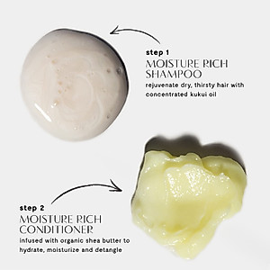 Prive Moisture Rich Shampoo - Deep Moisturizing for Dry and Lifeless Hair, 12 oz