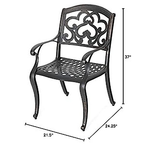 Christopher Knight Home Austin Outdoor Cast Aluminum Dining Chairs, 2-Pcs Set, Shiny Copper