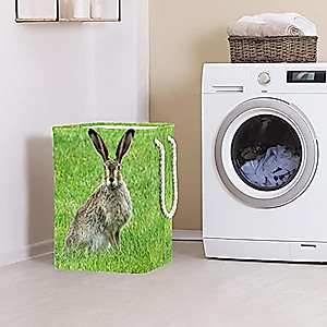 DEYYA Waterproof Laundry Baskets Tall Sturdy Foldable Wild Rabbit Bunny Hare Nature Grassland Print Hamper for Adult Kids Teen Boys Girls in Bedrooms Bathroom