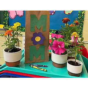 The HC Companies 2.5 Inch Sprite Mini Succulent Pot - Small Plastic Planter with Drainage for Indoor Plants, Crafts, Wedding Favors, Vanilla Bisque (20 Pack)