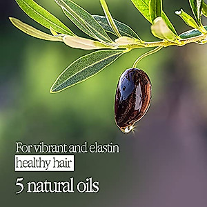 Bouquet Garni Shampoo Clean Fragrance 16.9 Fl Oz - Long Lasting Fragrance Dry Hair Moisturizing Shampoo - Scalp Moisturizer and Cleansing with Natural Surfactant - Amino Protein Natural Oil