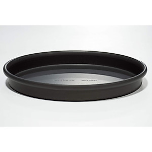 LloydPans Straight Sided Pizza Pan, Pre-seasoned PSTK (1, 10 inch)