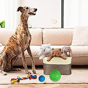 MALIHONG Personalized Dog Toy Box Collapsible Storage Basket Sturdy Fabric Storage Bin with Handles for Organizing Shelf Home Closet, Brown and White Size - 15" x 11" x 8.3"
