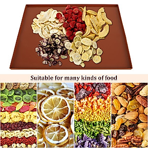 6PCS Silicone Dehydrator Sheets with Edg Non Stick Fruit Leather Trays for Dehydrator Reusable Silicone Dehydrator Tray Liners with Silicone Scraper for Food Vegetables Meat Liqui