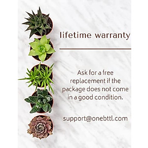 Onebttl Teacher Appreciation Gifts 20oz Skinny Tumbler with Lid and Straw for Christmas, Appreciation Day, End of Term from Students - Rose Gold