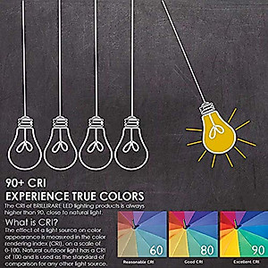 Brillirare LED UFO High Bay Light, 100W 14,000LM Daylight 5000K Shop Light Fixture, IP65 Waterproof 400W HID Equiv. with Hanging Hook&Safe Rope, Commercial Grade Lighting for Warehouse, Workshop