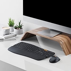 Wireless Keyboard Mouse, ProtoArc EKM02 2.4G Rechargeable Ultra-Slim Keyboard for Mac with Removable Magnetic Wrist Rest, Full Size Curved Keyboard for Natural Typing, Compatible with Windows/Mac