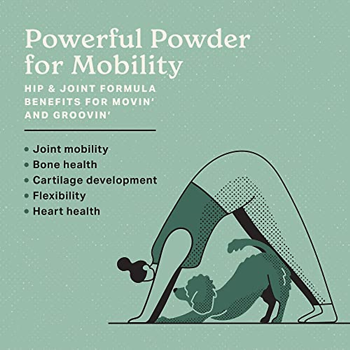 The Missing Link Hip & Joint Probiotics Superfood Supplement Powder for Dogs - Omegas 3&6, Fiber, Glucosamine, Chondroitin, MSM, HA - Cartilage & Bone Health, Joint Mobility & Flexibility - 5lb