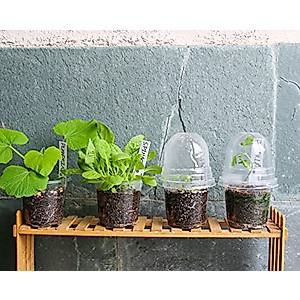 Bluepro Clear Nursery Pots with Humidity Dome 30 Sets 4" Transparent Plastic Plant Pot Seedling Planter Seed Starter Pots Flower Pot with 10pcs Plant Labels for Indoor Outdoor Garden