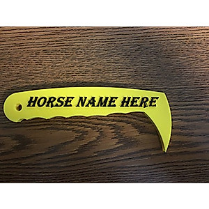 Horse Hoof Pick