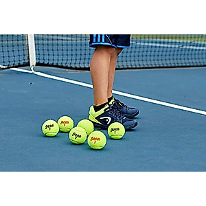 Penn Championship Extra-Duty Felt Tennis Balls Can - 3 Count per Can