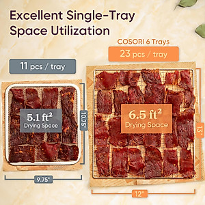 COSORI Food Dehydrator (50 Recipes) for Jerky, Vegetables Fruit, Meat, Dog Treats, Herbs, and Yogurt, Dryer Machine with Temperature Control, 6 Stainless Steel Trays, Rear-Mounted Fan, Silver