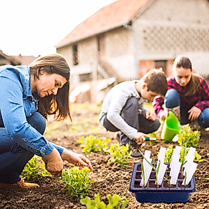 Easeen 12 Set Seedling Trays Seed Starter Kit- 144 Cells Plant Grow Kit, Garden Seed Propagator Premium Seedling Dome and Tray for Seeds Growing (12 Cells Per Tray)