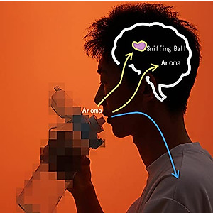 Scented Water Bottle,Compatible with Airs Up Water Bottle Starters Set | Compatible with Airs Up Water Bottle Flavour Pods Scented|Compatible with air up Water Bottle (Coke)