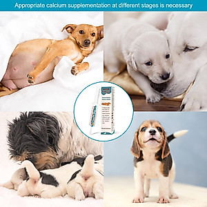 Oral Calcium Supplement for Dogs & Cats in Labor-for Whelping, Nursing, Calcium Deficiency- Fast Absorbing, Keeping Energetic, Supporting Efficient Delivery(30 ml Liquid)