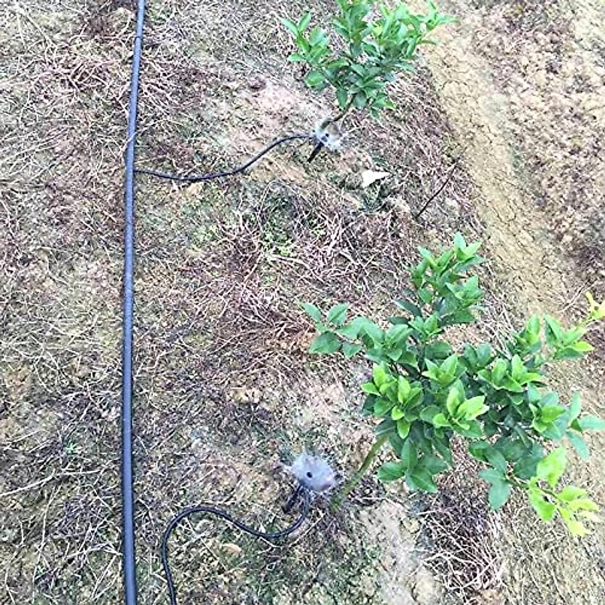 YFQHDD 10pcs drip Irrigation Adjustable Sprinkler Spray Garden Plants Watering Nozzle 360 Degree Drippers Maintenance Equipment