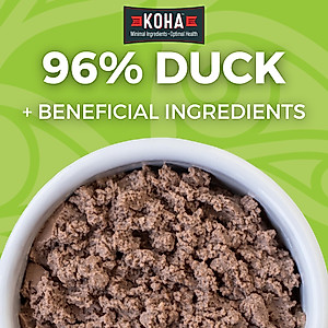 KOHA Limited Ingredient Diet Duck Pate for Cats - Single Meat Wet Cat Food for Sensitive Stomachs - Pate Cat Food with No Fillers - 3oz Pack of 24