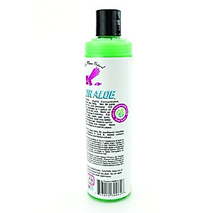 Kelco 50:1 Dr. Aloe Shampoo, 11.7 fl. oz.
