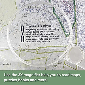 Staoptics 3 IN1 Magnifying Glass 3X 2X 10X Transparent Handheld Magnifier for Kids Seniors Reading Small Prints &Low Vision Macular Degeneration