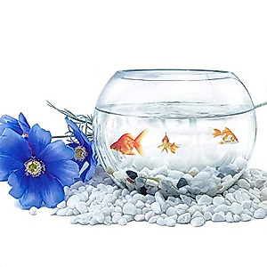 ROOFOO Polished Stones River Pebbles Vase Fillers White Rocks Garden Gravel 1.6LB for Aquarium,Fish Tank,Terrarium, Fairy Gardening,Top Dressing,Bonsai,Zen Garden,Air Plants Succulent,Soil Cover