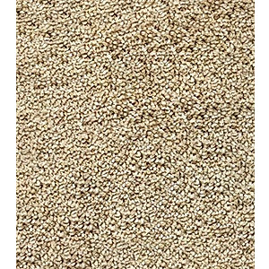 4'x8' - Speckled Saw Dust ECONOMICAL Solutions Collection | Custom Carpet Area Rugs & Runners - 25 Oz. Soft Textured 100% PureColor BCF Polyester. FHA Approved-CRI Green Label-Made in U.S.A.