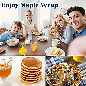 YEOSLL Maple Syrup Tapping Kit - Food-Grade Stainless Steel, PFOA-Free, Includes Maple Syrup Taps, Brush and Filters, 1-Set