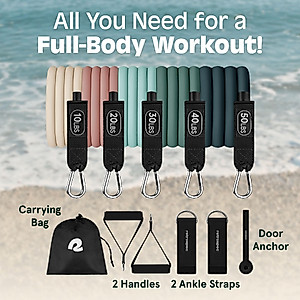 Retrospec Train Resistance Bands Set (5pc) Workout Bands w/Handles, Door Anchor, Carry Bag for Women & Men, Smoothie