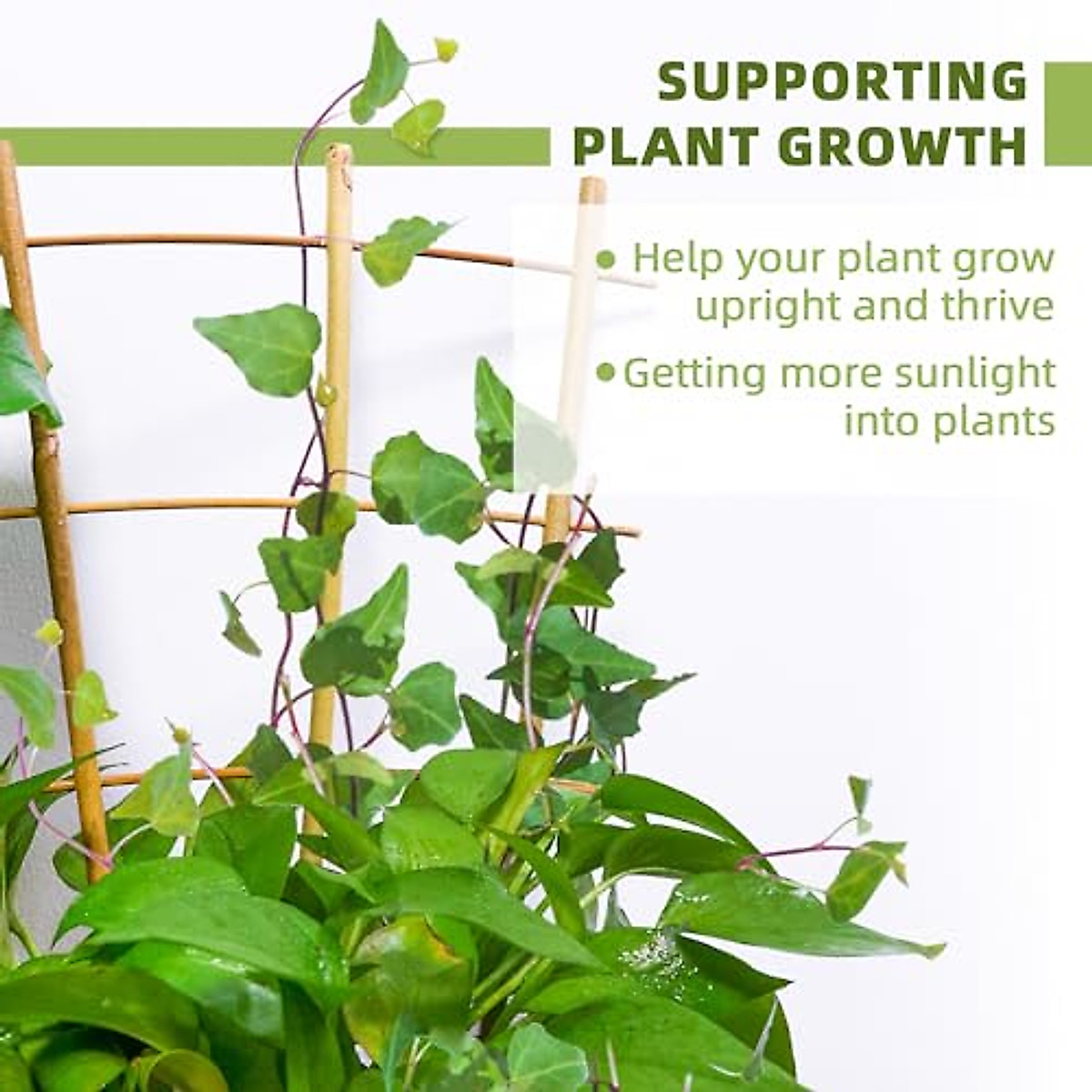 5 Pack 16" Bamboo Trellis for Climbing Plants-Natural Garden Ladder Trellis, Fan -Shaped Support Trellis for Potted Plant Decor in Door