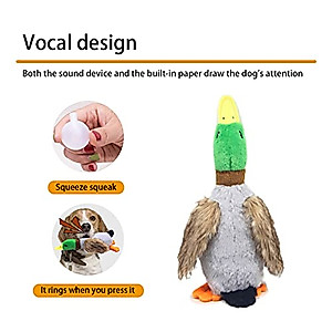 LNPAVET Dog Squeak Toy with crepe paper noise and generator, 2 dog and duck toys, durable chew toy, dog teething pet Toy, dog pet toy, for dog play and training