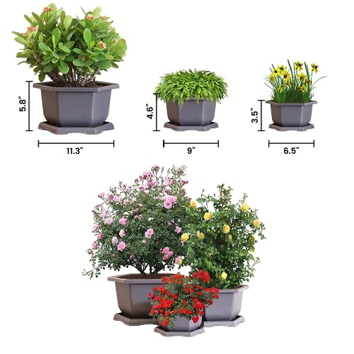 MONDWARE Three Training Plastic Hexagonal Bonsai Pot and Trays + Plastic Shovel and 12 T-Shaped Markers