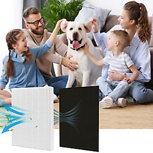 RONGJU C545 Replacement Filter 2 Filters + 8 Activated Carbon Pre Filters Compatible with Winix C545, Compare to Part S Filter 1712-0096-00