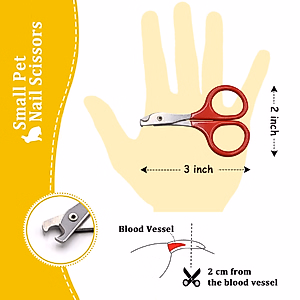 LLSPET 3-in-1 Guinea Pig Hay Feeder Water Bottle Nail Scissors Set, Pets Feeding Kit for Small Animals Bunny Chinchilla Guinea Pig Rabbit, 250ml Rabbit Water Bottle No Drip(Yellow)