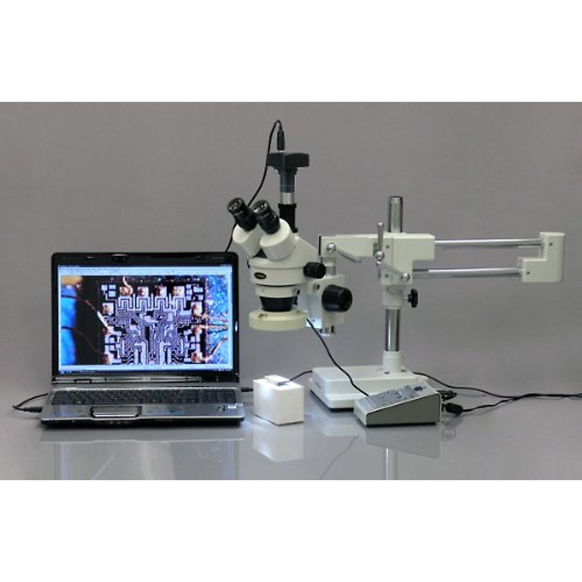 AmScope MU130 1.3MP USB2 Microscope Digital Camera + Editing & Measuring Software, Compatible with Windows XP/Vista/7/8 and Mac OS 10.6 & Up