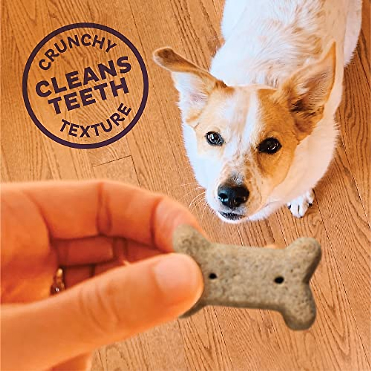 Old Mother Hubbard by Wellness Classic Bac'N'Cheez Natural Dog Treats, Crunchy Oven-Baked Biscuits, Ideal for Training, Small Size, 20 ounce bag