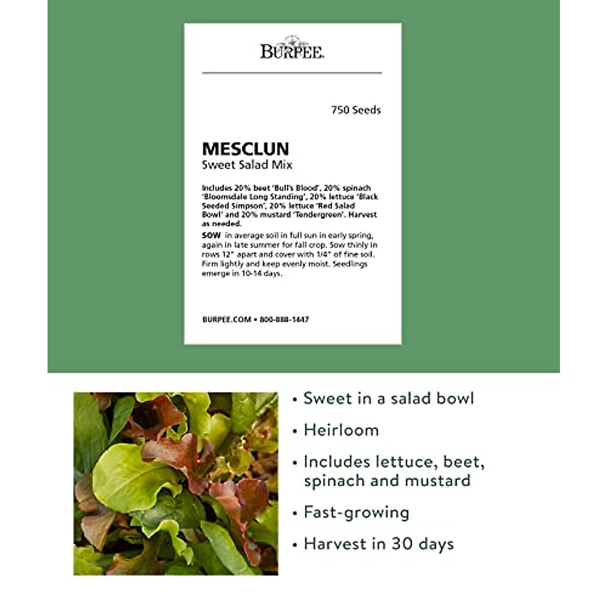 Burpee Sweet Salad Mix Mesclun Seeds 750 seeds