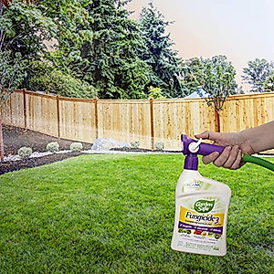 Garden Safe Brand Fungicide3 Concentrate, Ready-to-Spray, 28-Ounce, 6-Pack