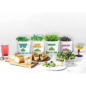 GIFT A GREEN IT'S YOUR BEET DAY Birthday Greeting Card Cards with Organic Microgreens! Just Like Post Cards, Simply Mail & Recipient Gets to Grow & Eat | Greeting Cards for All Occasions | 1 PACK