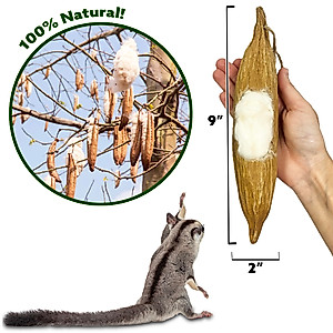 Exotic Nutrition Chew Toy Bundle - Natural Interactive Chew Toys - Chinchillas, Guinea Pigs, Hamsters, Rabbits, Degus, Prairie Dogs, Small Pets