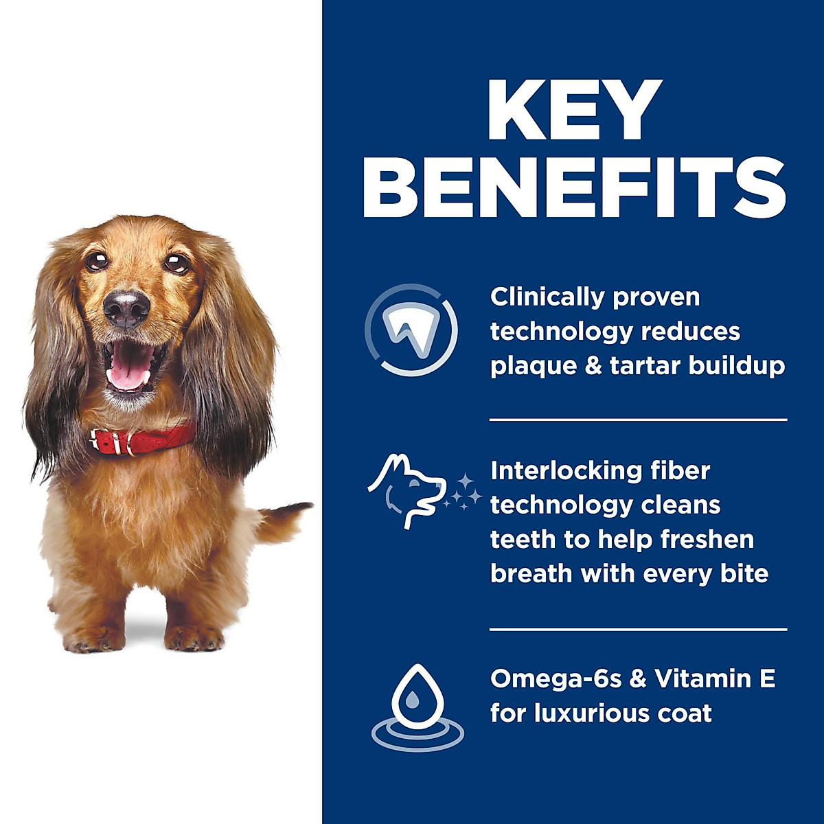 Hill's Science Diet Oral Care, Adult 1-6, Plaque & Tartar Buildup Support, Dry Dog Food, Chicken, Rice, & Barley, 28.5 lb Bag