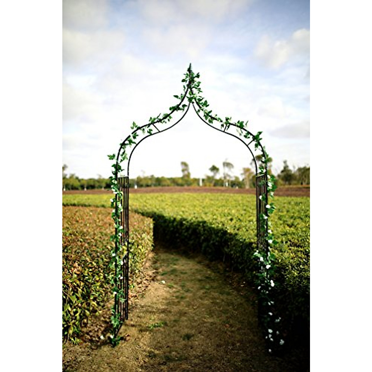 1. GO Gothic Steel Garden Arch, 8'8" High x 4'5" Wide, Garden Arbor for Various Climbing Plant, Outdoor Garden Lawn Backyard