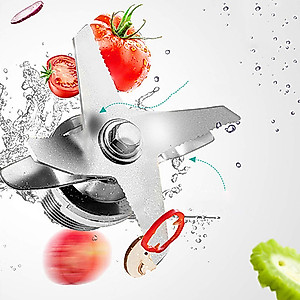 1300W Electric Blender 2L/68 Oz Professional Countertop Blender Portable Adjustable Speed Food Mixer Juicer for Smoothies, Frozen Drinks & Ice Cream, Stainless Steel Blades