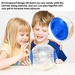 Hamster Exercise Wheel Silent Running Wheel Cage Activity Accessories Quiet Spinner Hamster Playing Toy for Hamsters Gerbils Mice Or Other Small Animals