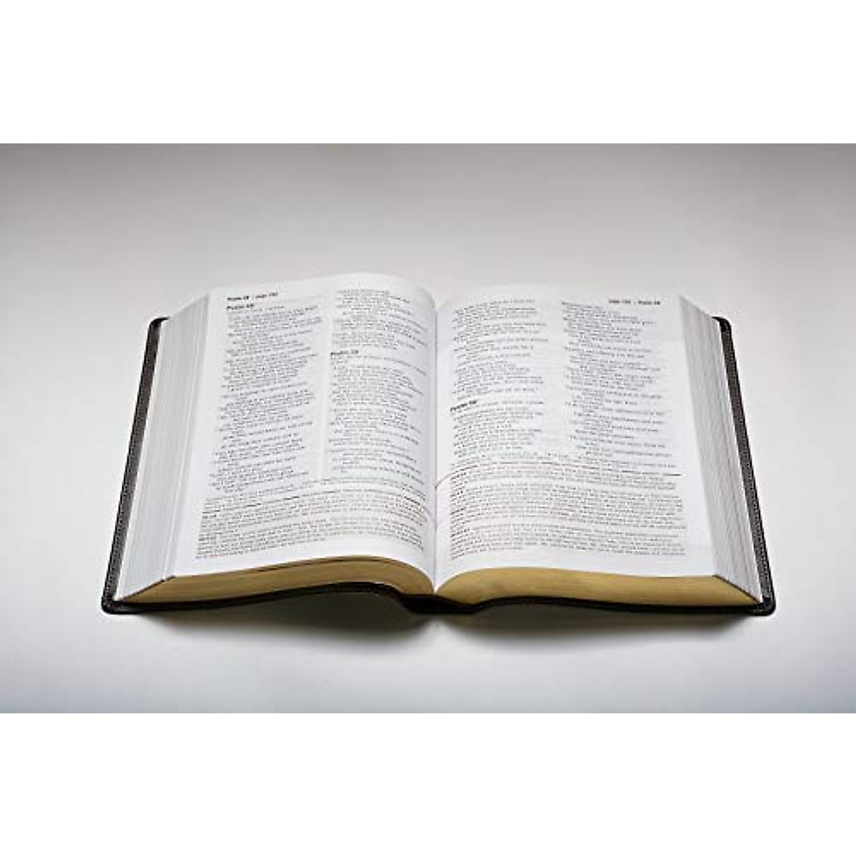 Every Man's Bible: New Living Translation, Large Print, TuTone (LeatherLike, Brown/Tan) – Study Bible for Men with Study Notes, Book Introductions, and 44 Charts