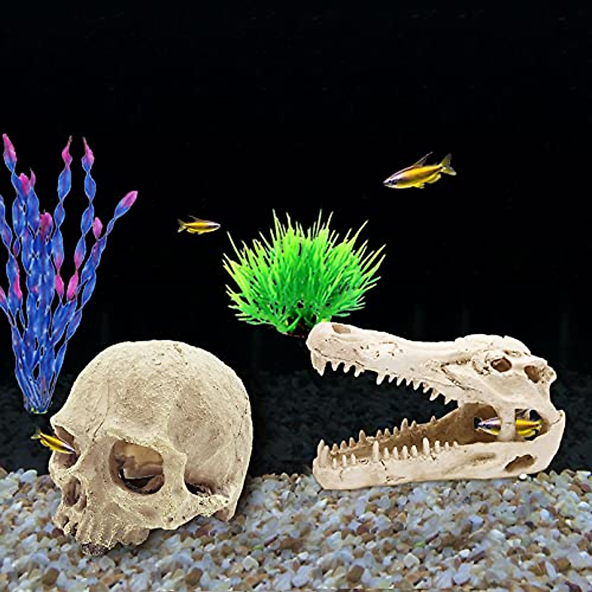 Tfwadmx Bearded Dragon Tank Accessories Reptiles Crocodile Skull Decorations Resin Human Skulls Hideouts Cave Habitat Decor for Chameleon,Snake,Spider,Gecko and Fish