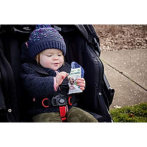 Sprout Organic Toddler Snacks, Crispy Chews, Red Berry & Beet, 3.15 oz - Pack of 10