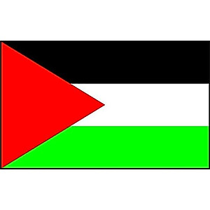 CafePress Palestine Mug Ceramic Coffee Mug, Tea Cup 11 oz