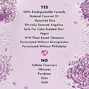 Love Beauty and Planet Shampoo Milk Moisture and Bounce for Waves and Curls Rice Oil and Angelica Essence 100 percent Biodegradable Shampoo 13.5 oz