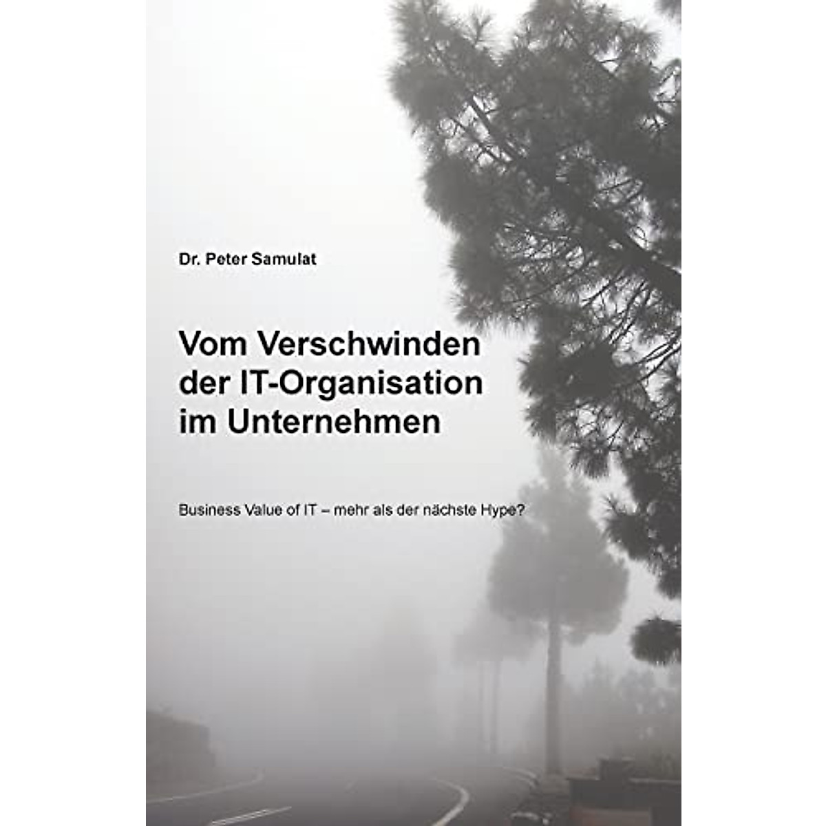 Vom Verschwinden der IT im Unternehmen: Business Value of IT - mehr als der nächste Hype? (German Edition)